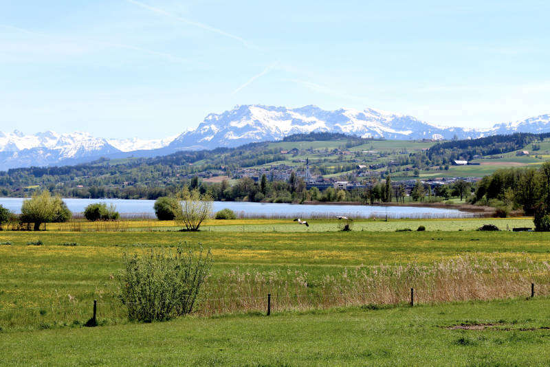 Geoportale der Gemeinden - Kanton Luzern